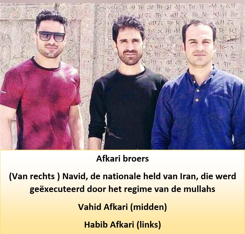 Habib Afkari is na verdragen van 550 dagen isoleercel vrijgelaten ...