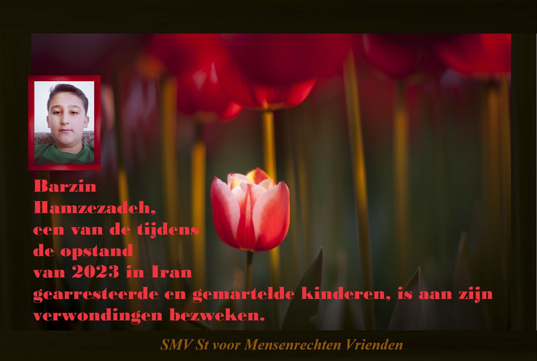 Barzin Hamzezadeh, een van de tijdens de opstand van 2023 in Iran ...